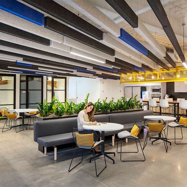 Diversified – Expertise